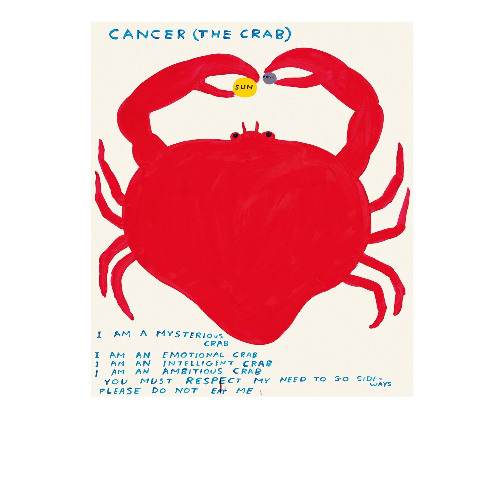 David Shrigley - David Shrigley - Signs of the Zodiac For Sale at 1stDibs