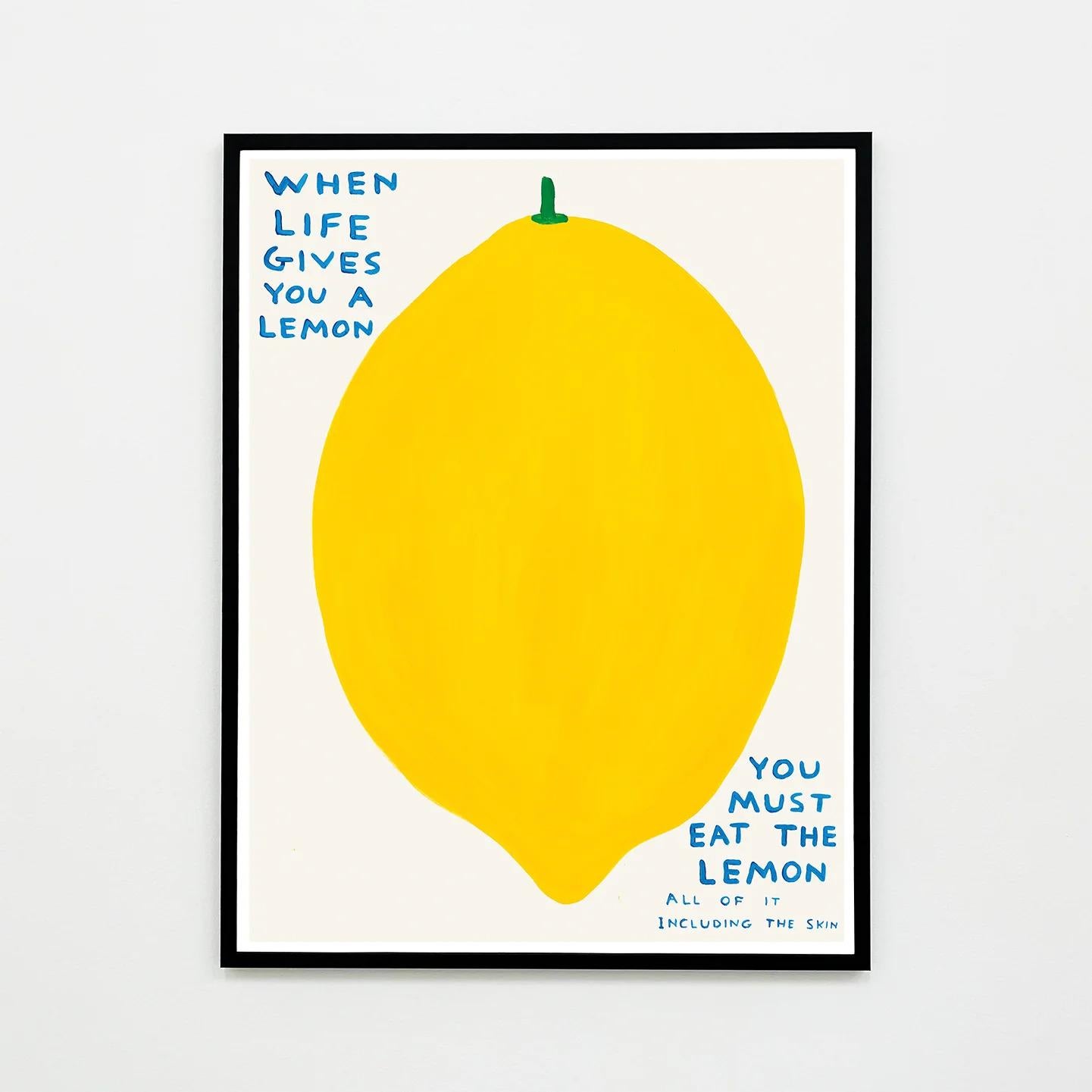 David Shrigley Art - 310 For Sale at 1stDibs | david shrigley prints ...