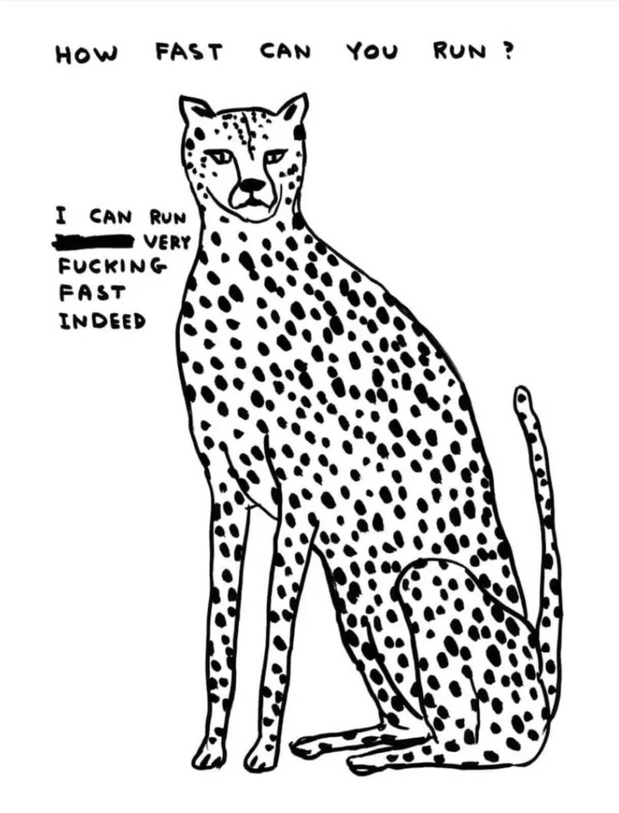 David Shrigley - How Fast Can You Run For Sale at 1stDibs
