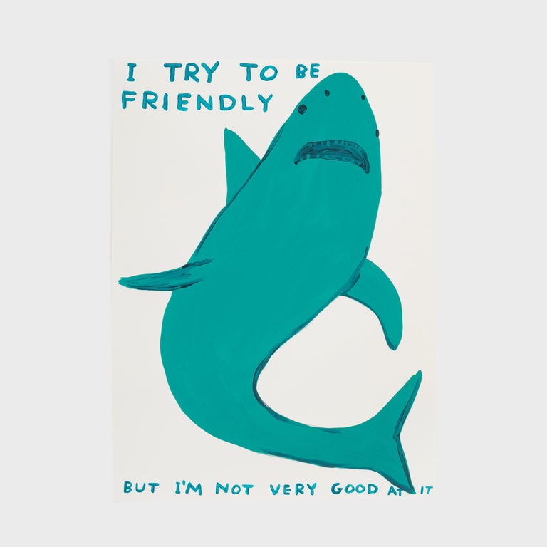David Shrigley - I Try To Be Friendly For Sale at 1stDibs