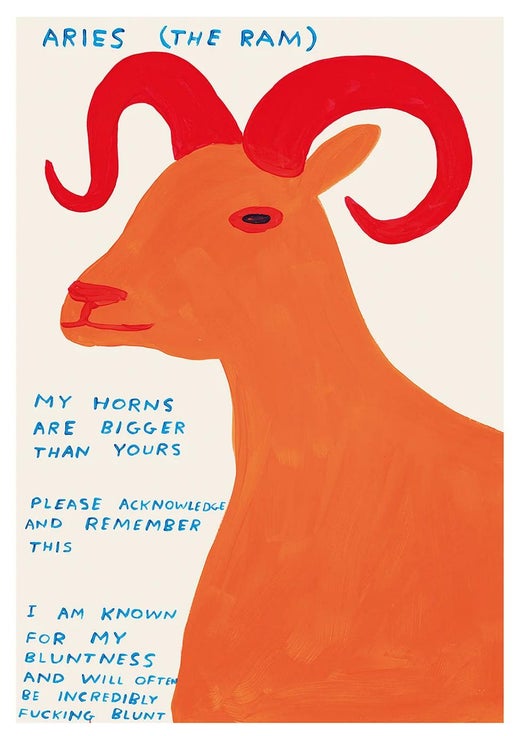 David Shrigley - David Shrigley - The Chaos For Sale at 1stDibs