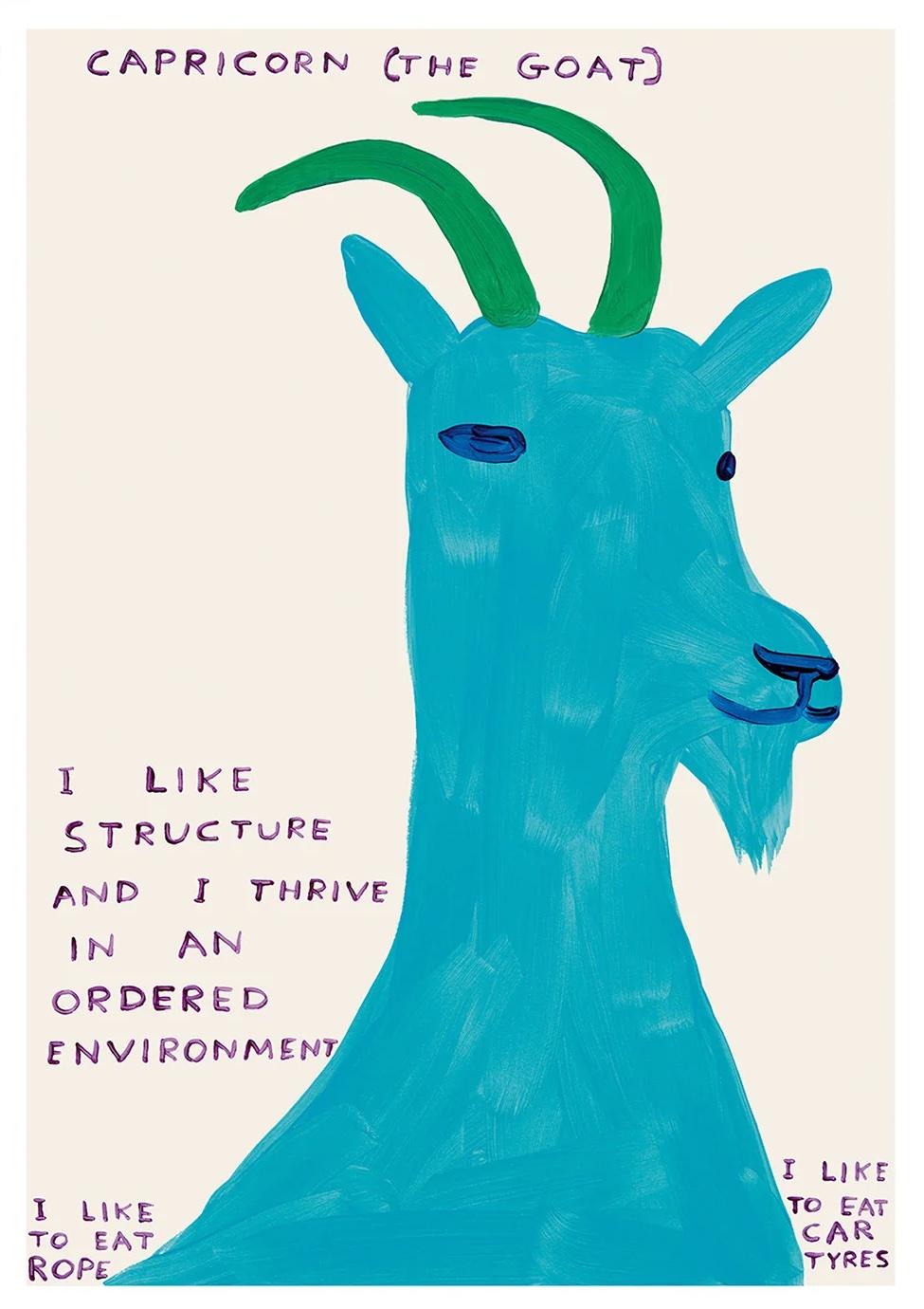 David Shrigley - Signs of Zodiac - Capricorn For Sale at 1stDibs