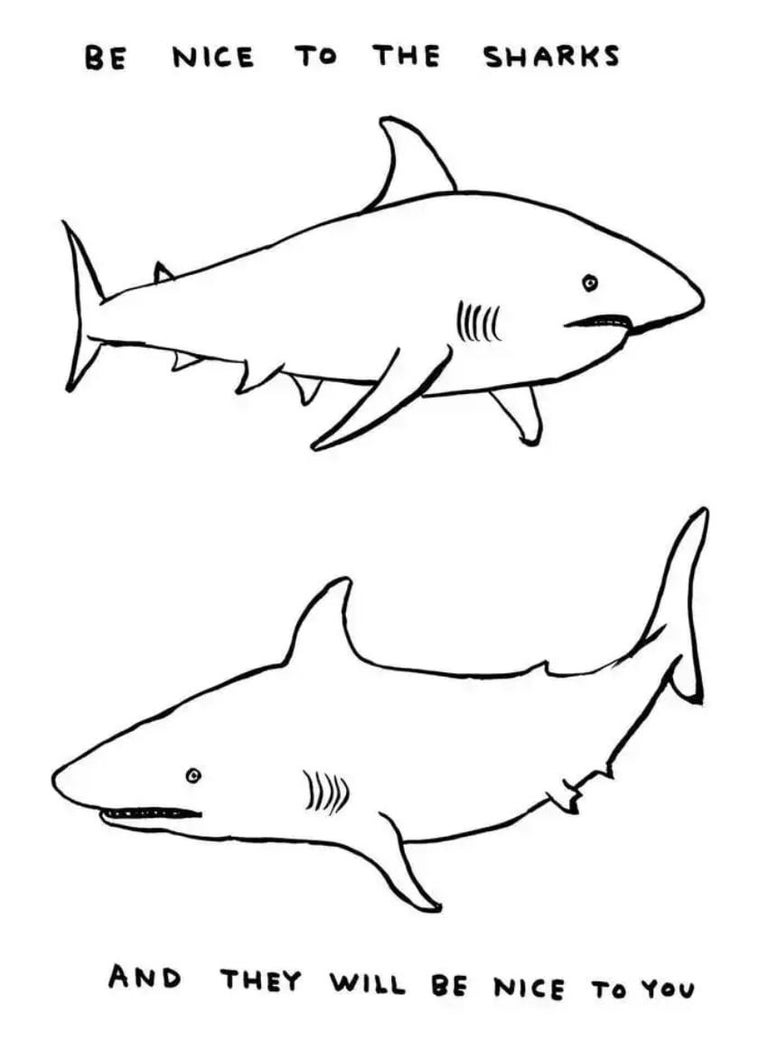 David Shrigley - Untitled (Be Nice To The Sharks) by David Shrigley For ...