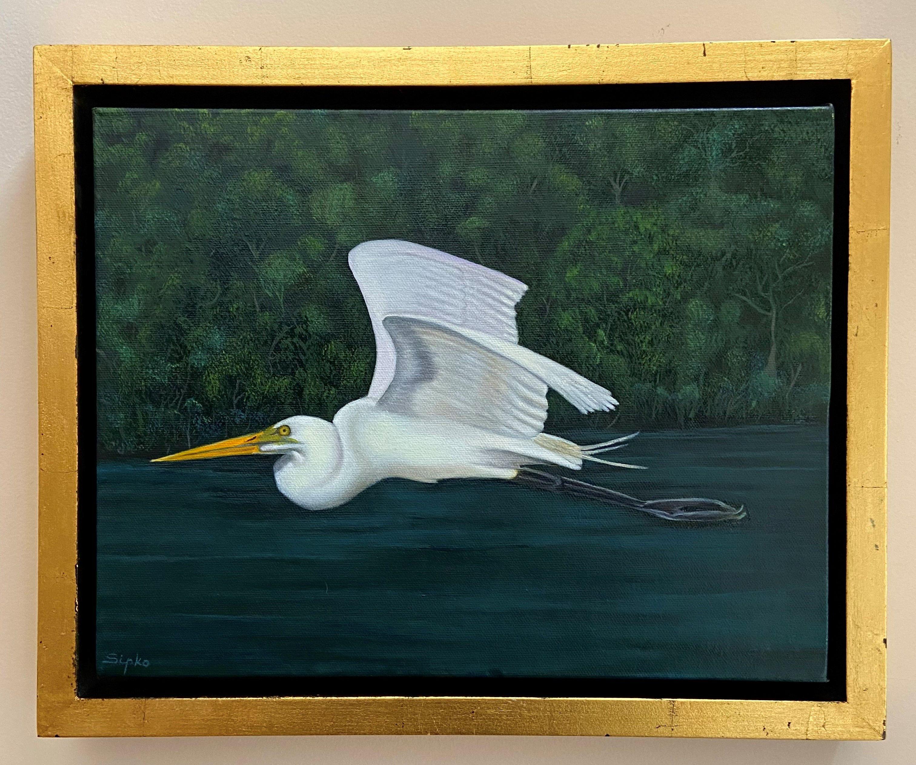 David Sipko - Great Egret In Flight, Painting, Oil on Canvas For Sale ...