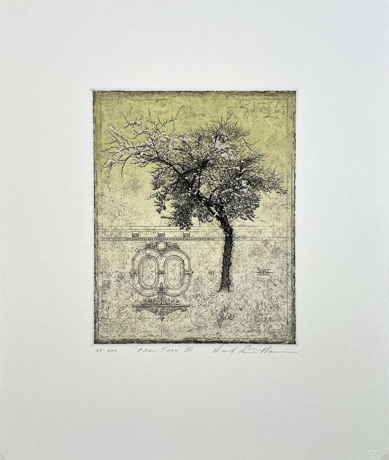 David Smith-Harrison - Plum Tree III, by David Smith-Harrison For Sale ...