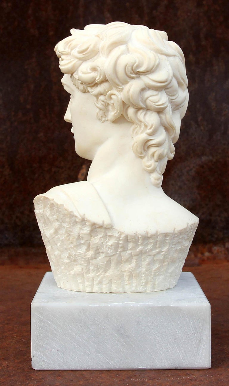 Cast Stone Bust of David after Michelangelo at 1stDibs | cast stone ...