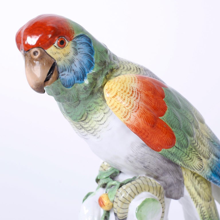 Pair of Porcelain Parrots at 1stDibs