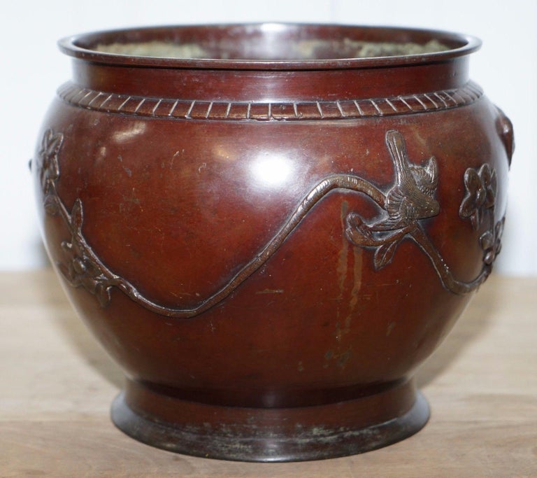 Very Large Solid Bronze Pot Depicting Birds and Flowers at 1stDibs