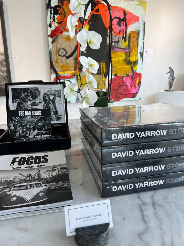 David Yarrow - Storytelling For Sale at 1stDibs