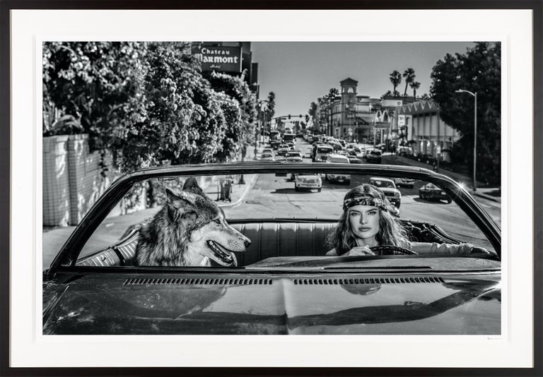 David Yarrow - "Castle on Sunset" Sexy Model and Wolf in Los Angeles ...