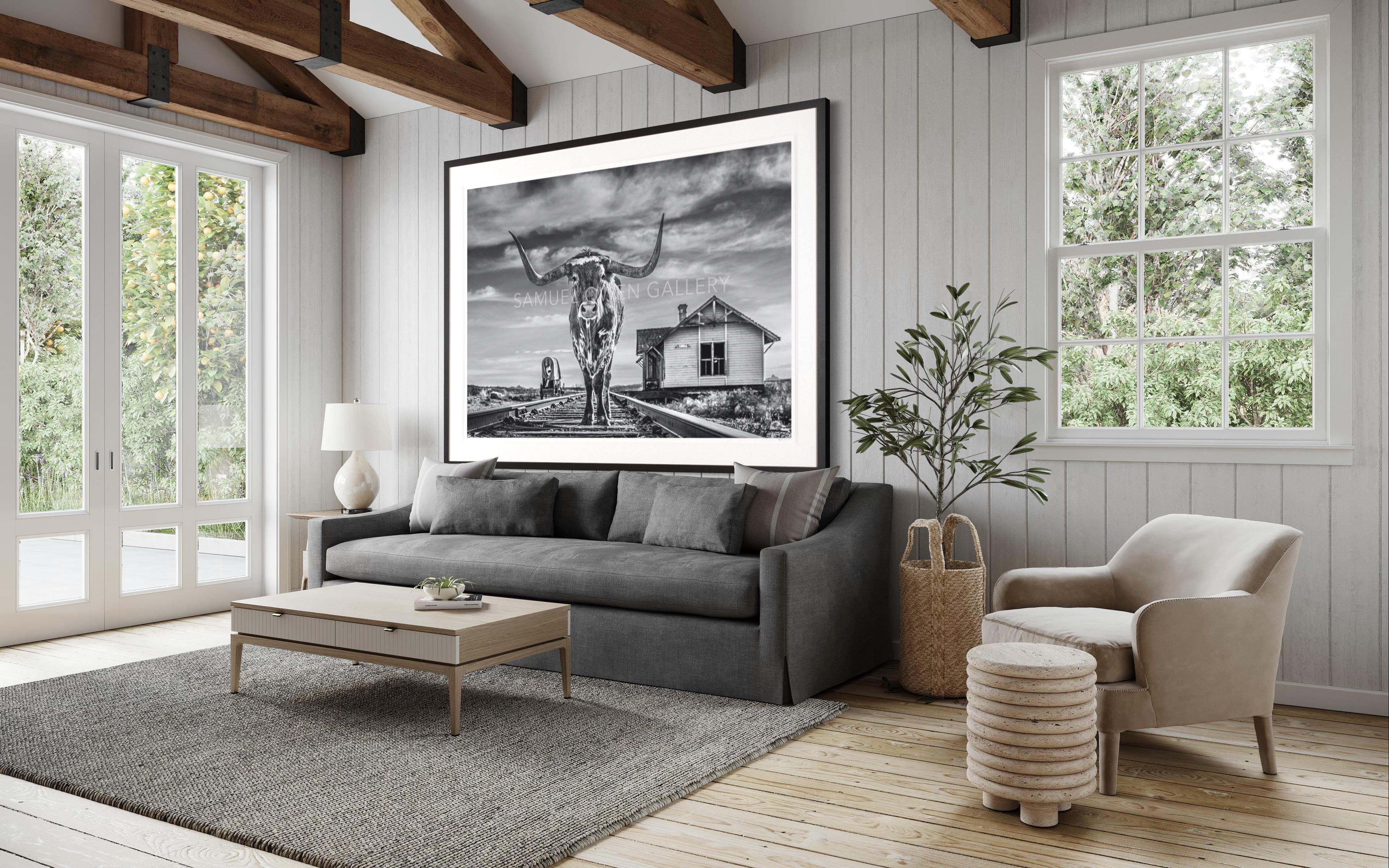 David Yarrow - David Yarrow Photograph "The End Of The Line" Longhorn ...