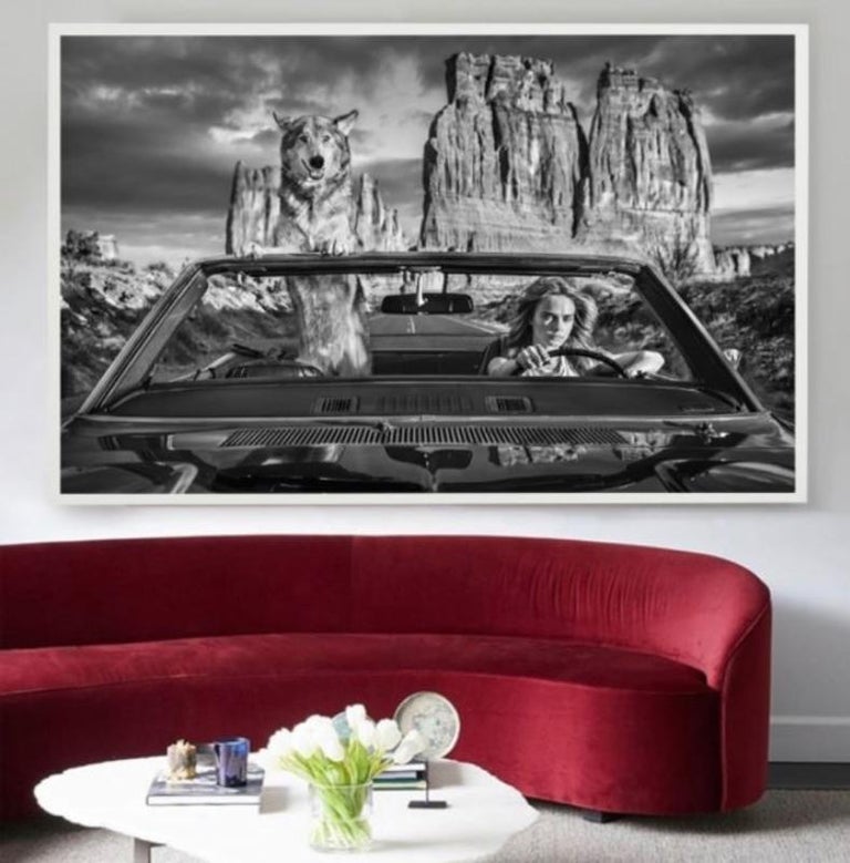 David Yarrow - Drive with Cara Delevingne - a wolf and the supermodel ...