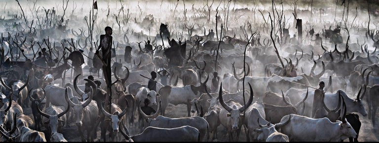 David Yarrow - Mankind II (Monochromatic) For Sale at 1stDibs