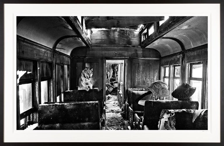David Yarrow - "Ride The Ghost Train" with Wolf and Two Brave Girls in ...
