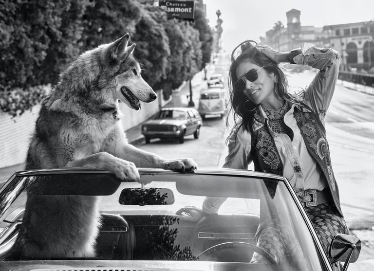 David Yarrow - The Fox and Hound For Sale at 1stDibs