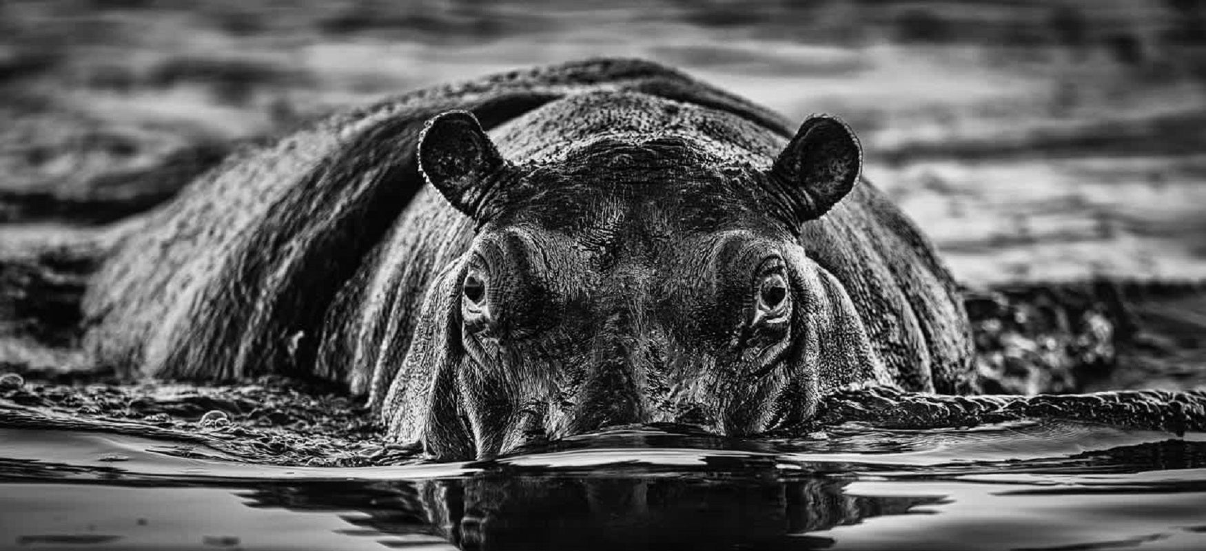 David Yarrow Art - 998 For Sale at 1stDibs | david yarrow photography ...