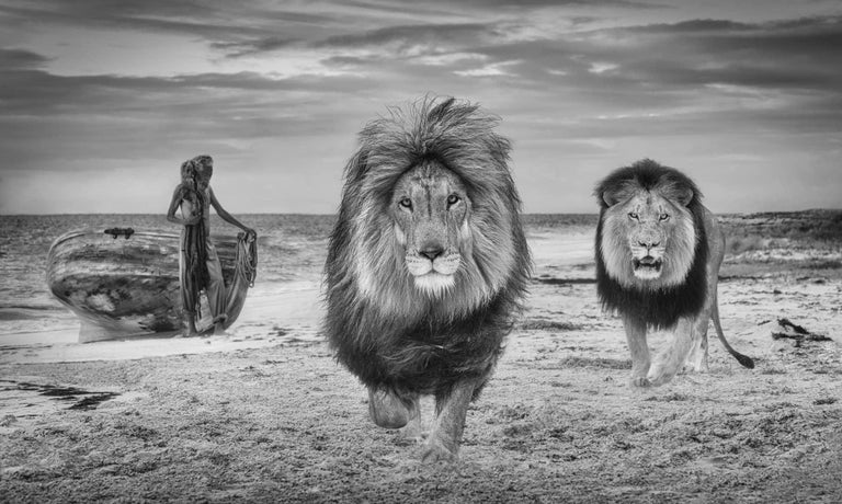David Yarrow - The Old Man and The Sea For Sale at 1stDibs