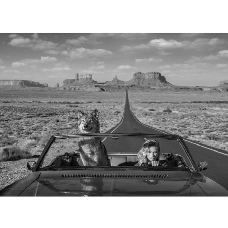 David Yarrow - Road Trip 2 For Sale at 1stDibs