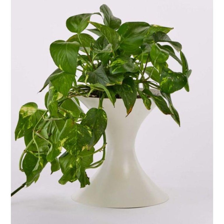 Dawn Planter, White by Laun For Sale at 1stDibs