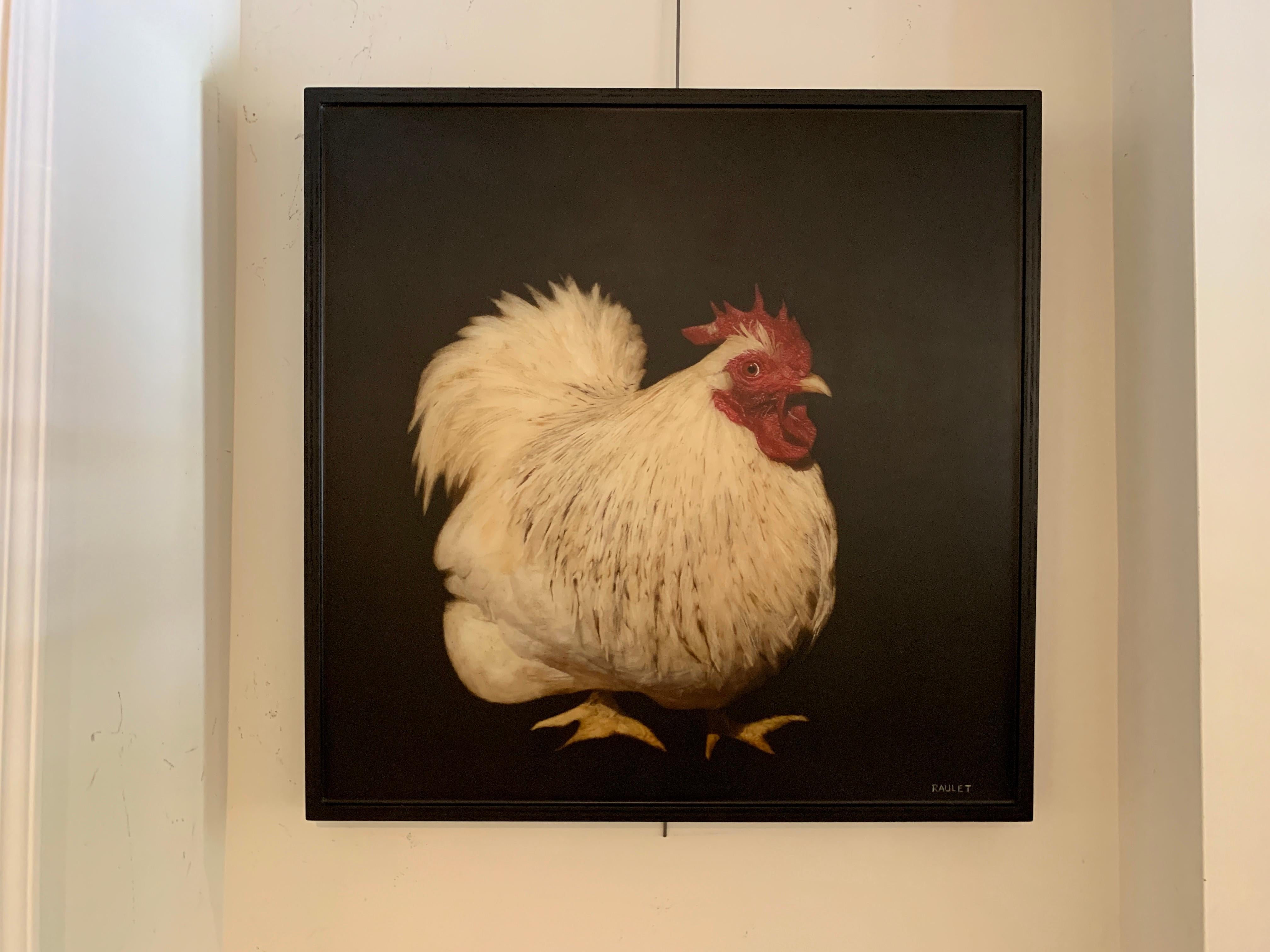 Dawne Raulet - Coq-a-Doodle Do by Dawne Raulet, Framed Contemporary ...