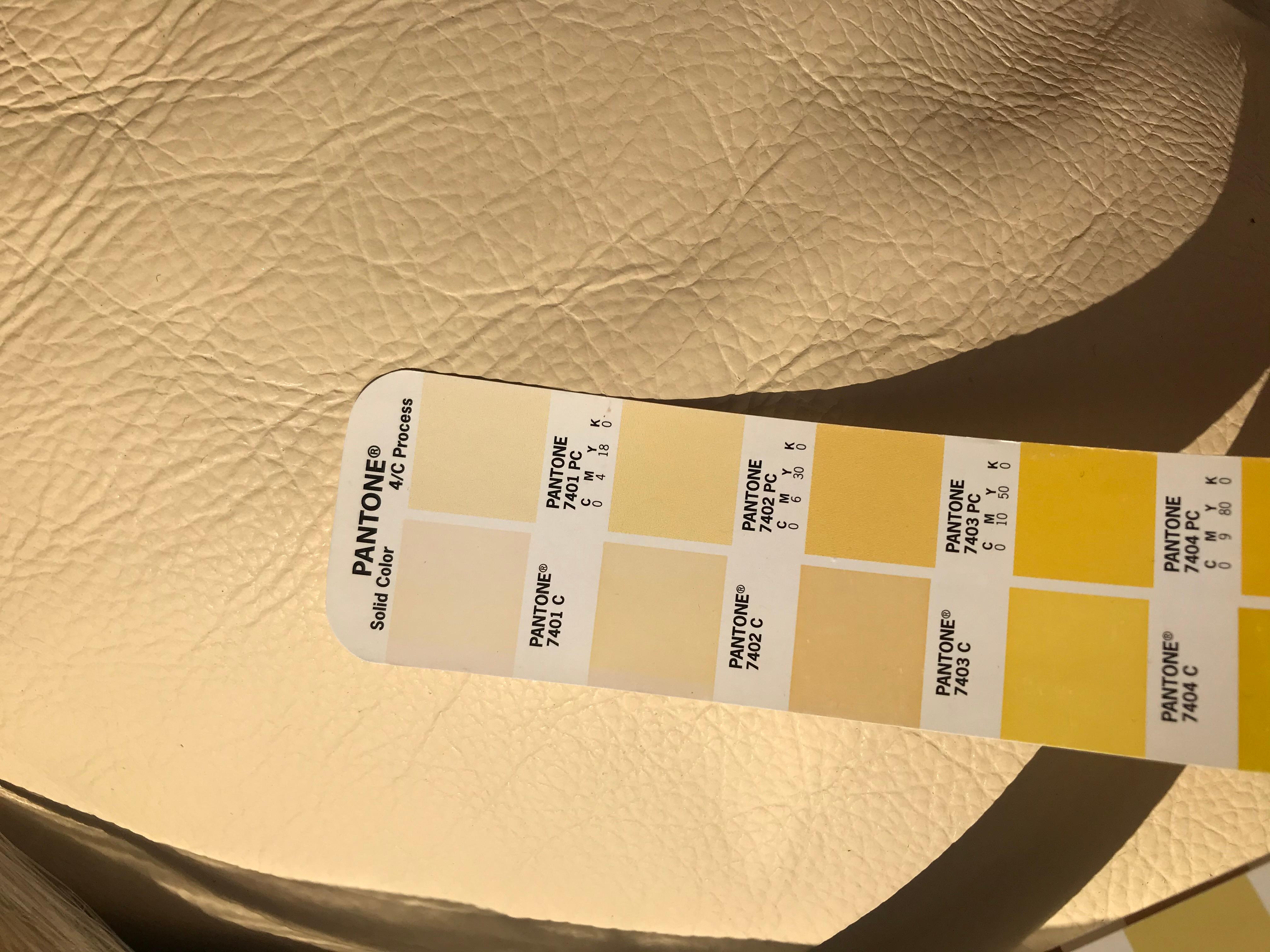 De Sede DS-2011 Two-Seat Sofa in Crème Leather at 1stDibs | pantone ...