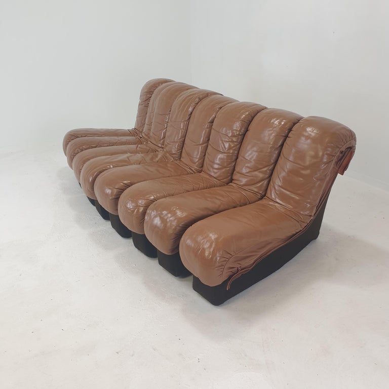 De Sede Ds-600 "Non Stop" Snake Shaped Modular Sofa, 1980's For Sale at ...