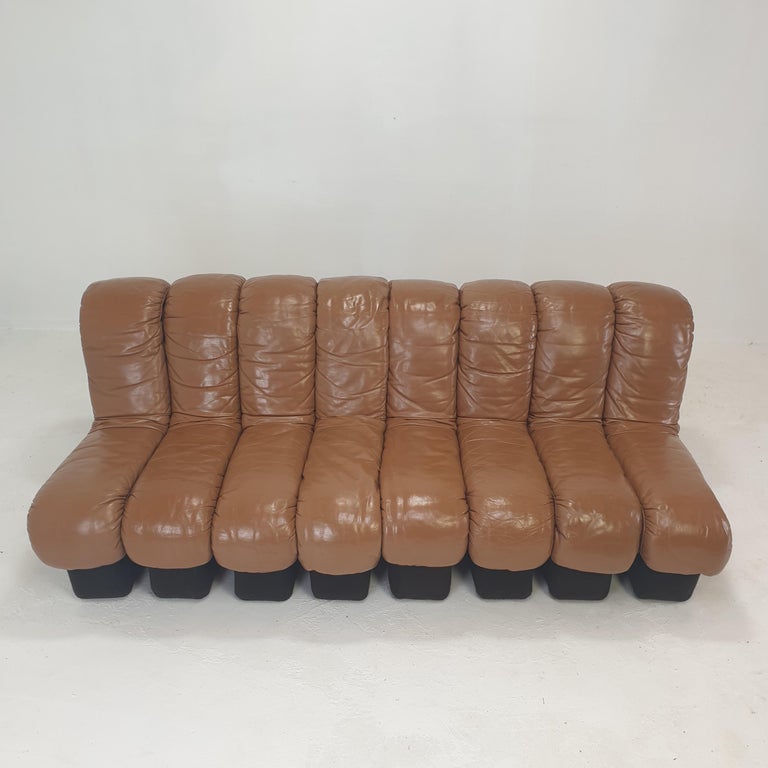 De Sede Ds-600 "Non Stop" Snake Shaped Modular Sofa, 1980's For Sale at ...