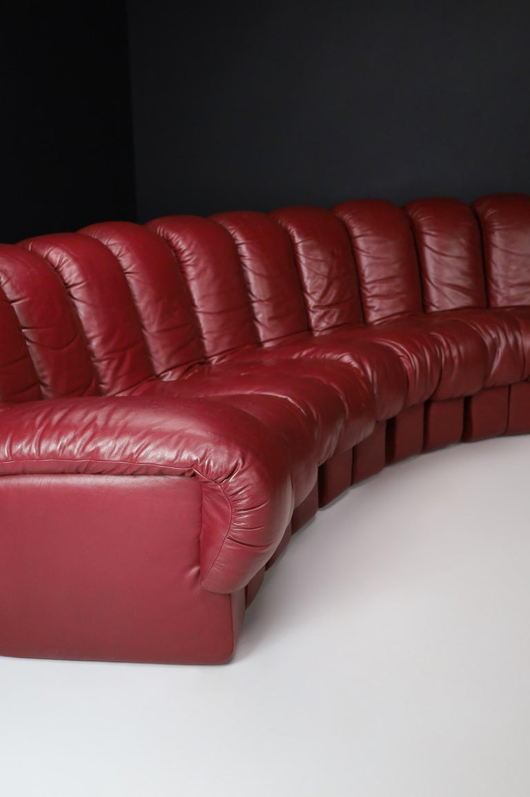 De Sede DS-600 'Snake' Sectional Sofa in Full Bordeaux Leather by Ueli ...