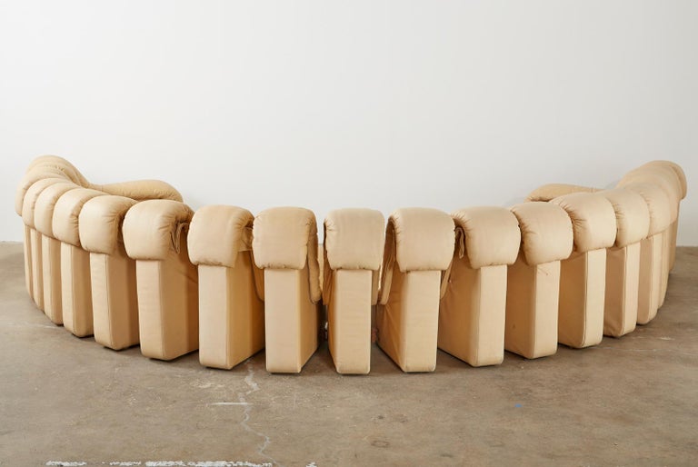De Sede DS600 24 Piece Non-Stop Leather Sectional Snake Sofa For Sale ...