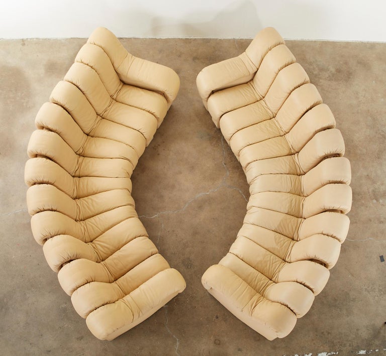 De Sede DS600 24 Piece Non-Stop Leather Sectional Snake Sofa For Sale ...
