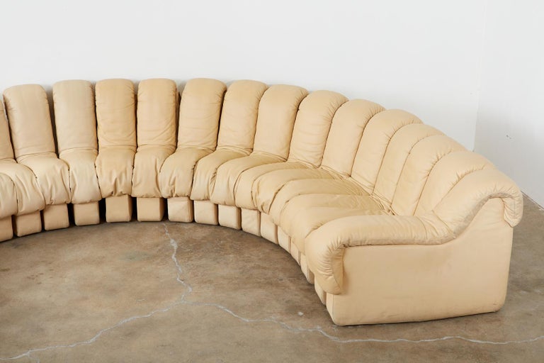 De Sede DS600 24 Piece Non-Stop Leather Sectional Snake Sofa For Sale ...
