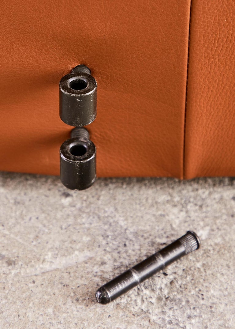 De Sede DS600 Cognac Leather Sectional Non-Stop Snake Sofa at 1stDibs ...