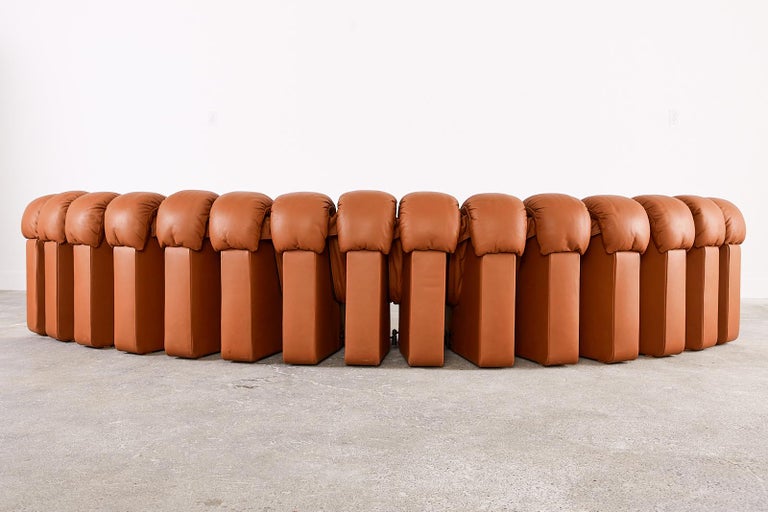 De Sede DS600 Cognac Leather Sectional Non-Stop Snake Sofa at 1stDibs ...