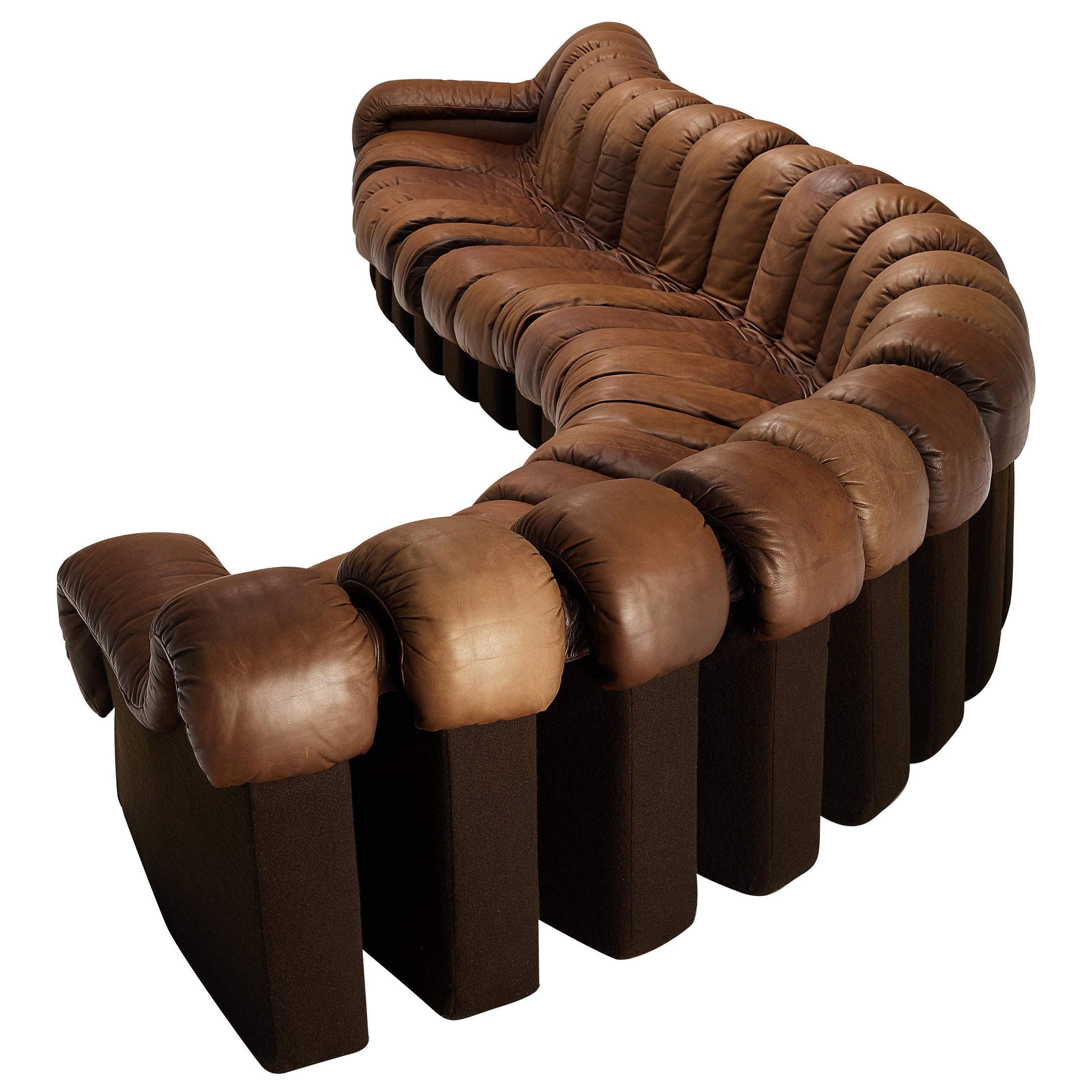 De Sede Sofa Model 'Snake DS-600' in Brown Leather For Sale at 1stDibs ...