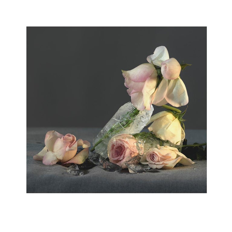 Deborah Murdoch x Garthivan Fine Art Photography Flower Bloom No.1 For ...
