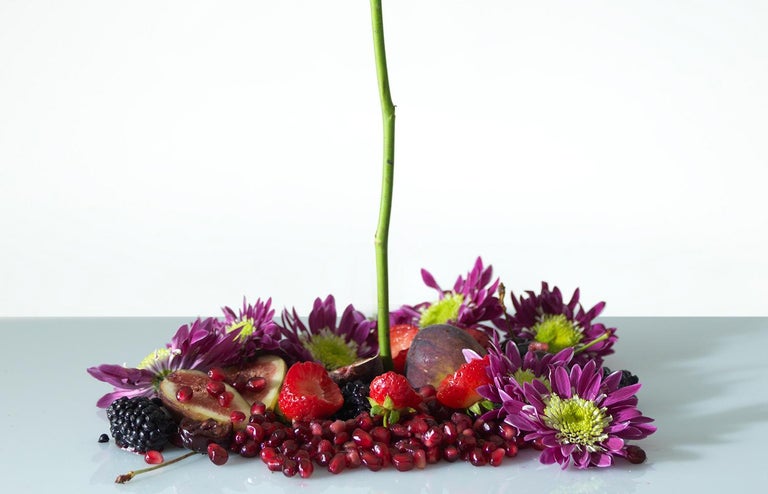 Deborah Murdoch x Garthivan Fine Art Photography Flowerbloom No.6 For ...