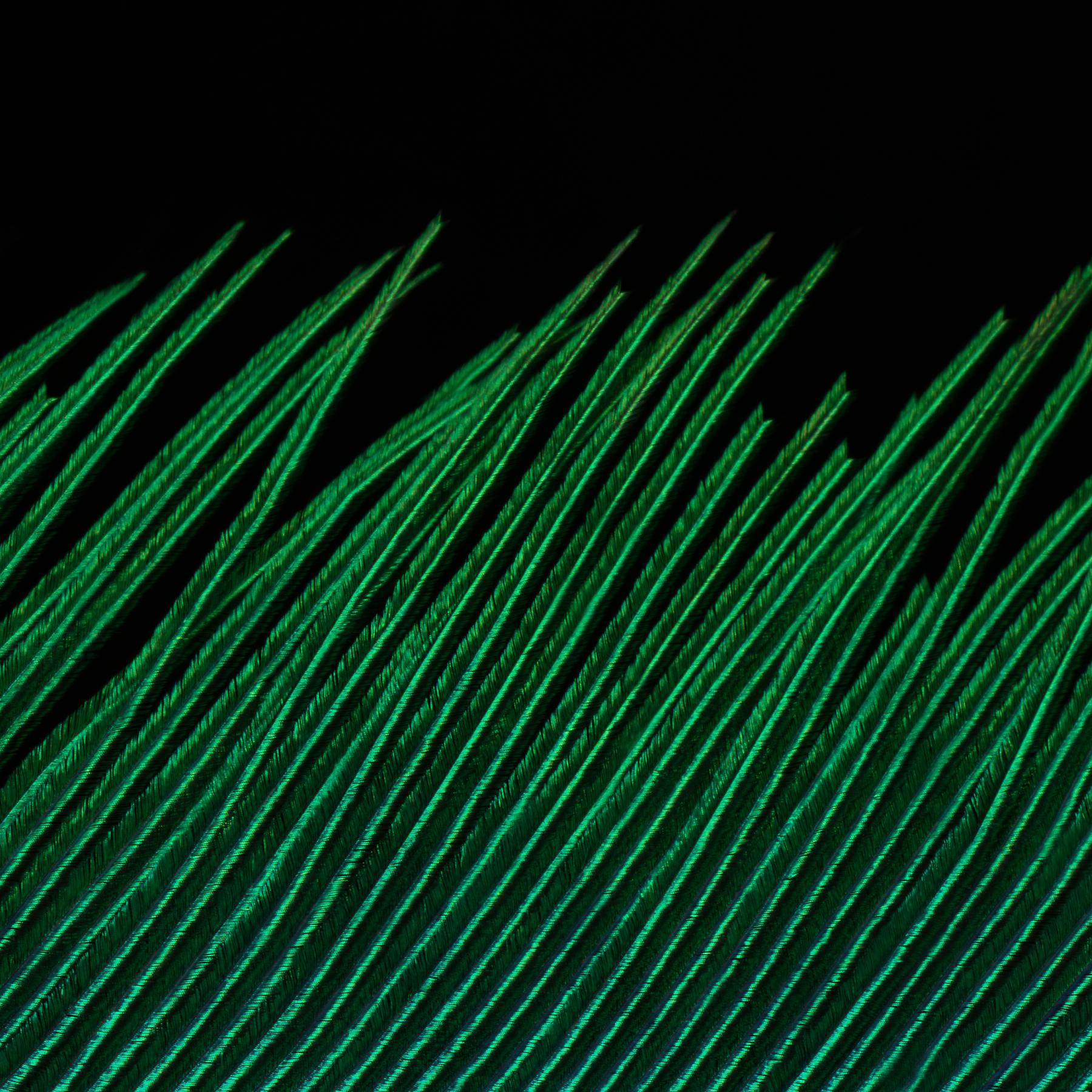 Aaron Álamo - KFC I - Photography, Still Life, Baroque, Contemporary ...