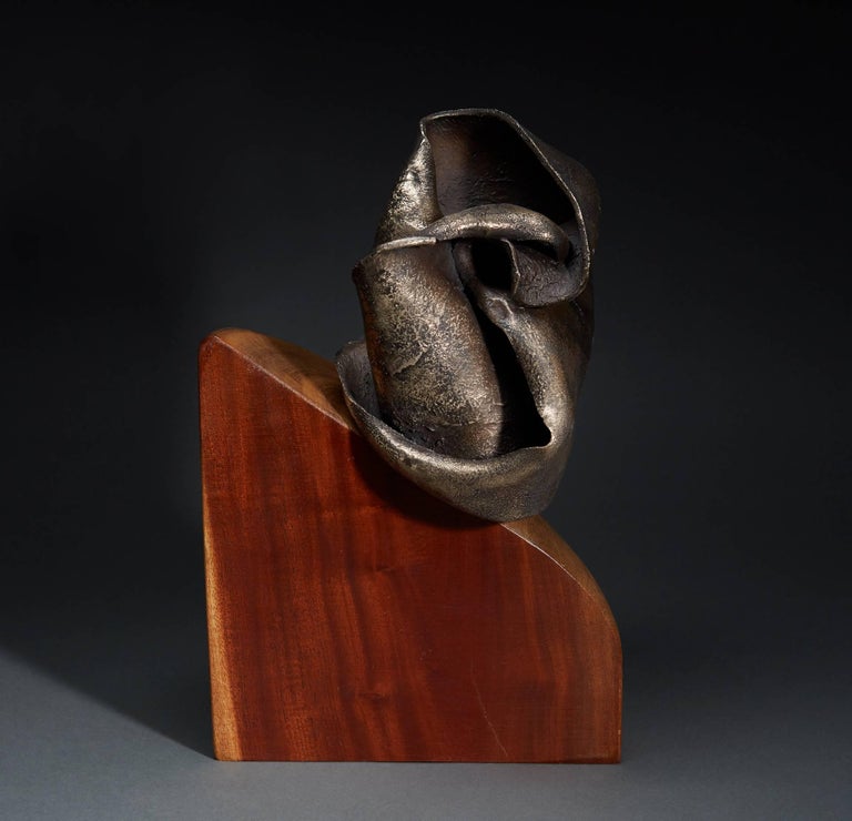 Debra Baxter - Debra Baxter, Burn Out, 2018, mesquite, bronze For Sale at 1stDibs