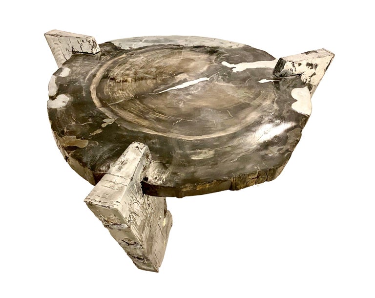 "Decay of Time" Solid Zinc and Petrified Wood Circular Coffee Table For ...