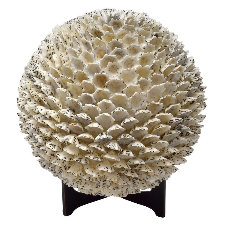 Decoratice Shell Orb For Sale at 1stDibs