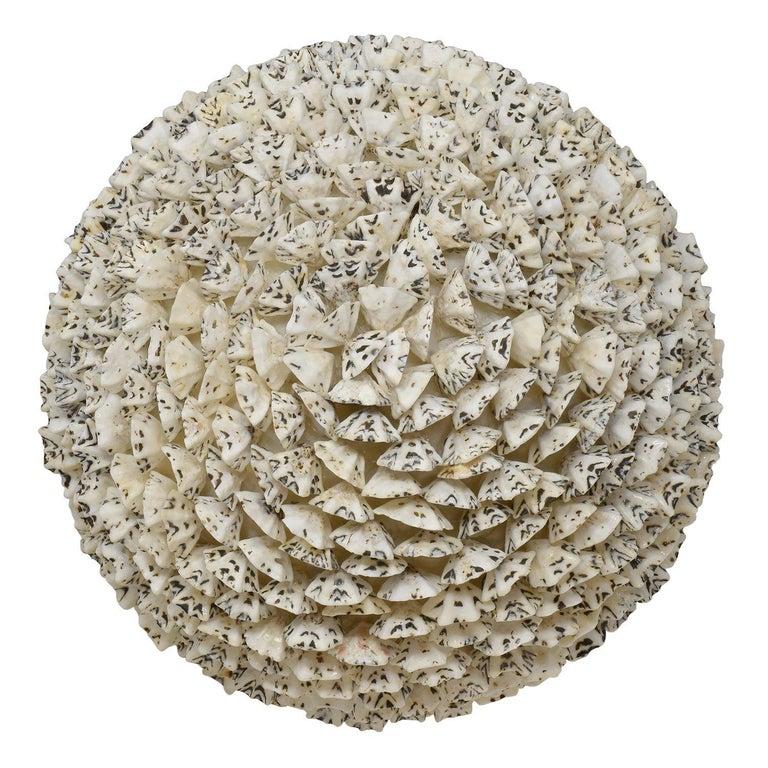 Decoratice Shell Orb For Sale at 1stDibs