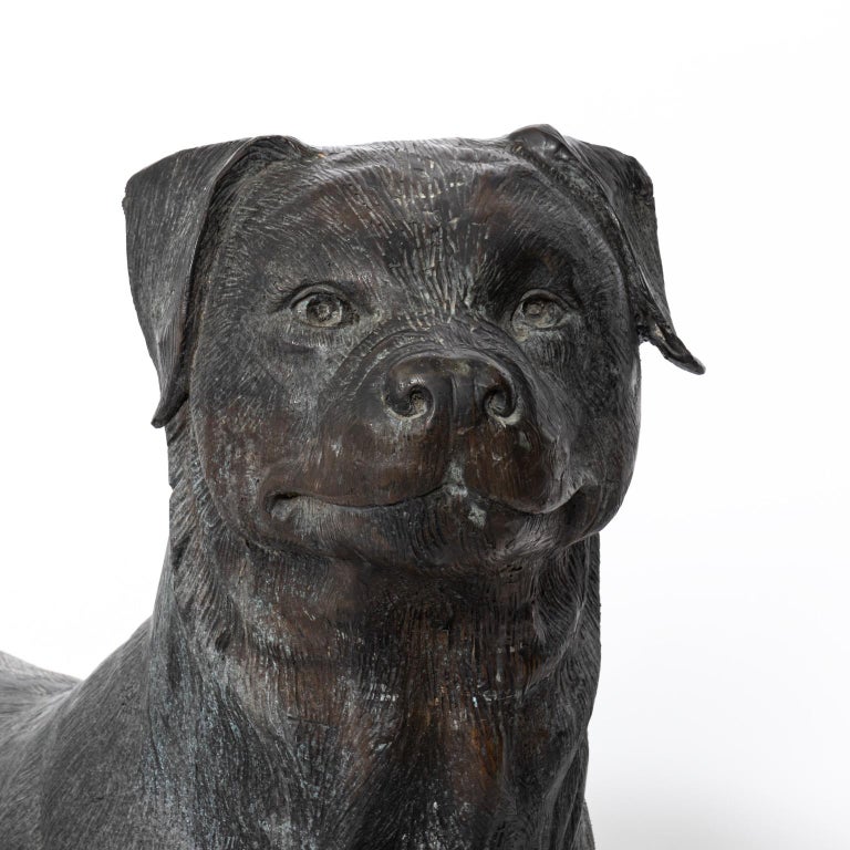 Decorative Bronze Rottweiler Dog Statue at 1stDibs