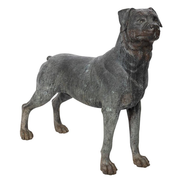 Decorative Bronze Rottweiler Dog Statue at 1stDibs