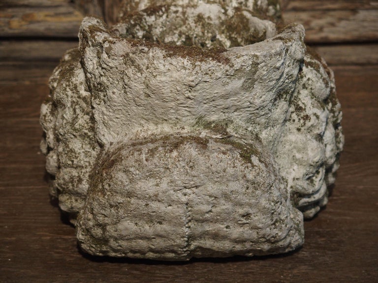 Decorative Cast Stone Swan Planter from France, circa 1950s at 1stDibs