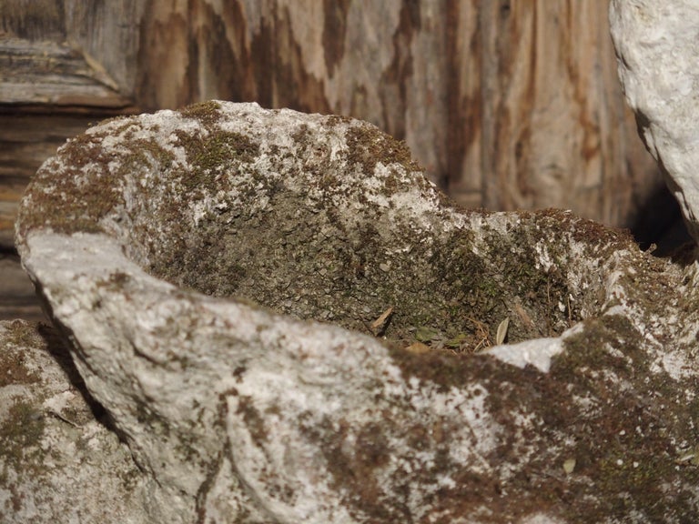 Decorative Cast Stone Swan Planter from France, circa 1950s at 1stDibs