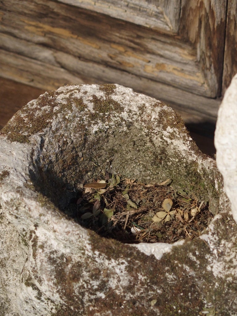 Decorative Cast Stone Swan Planter from France, circa 1950s at 1stDibs