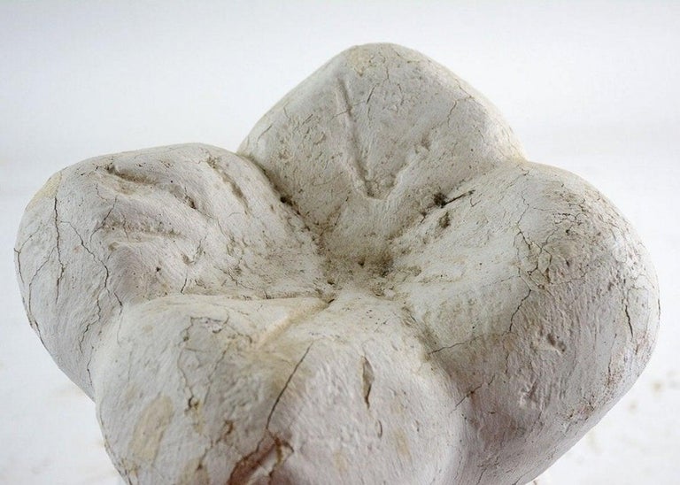 Decorative Foam Tooth Sculpture For Sale at 1stDibs