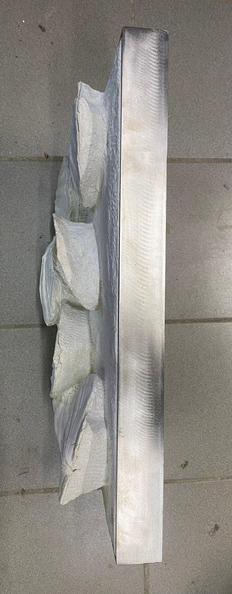 Decorative Pecten Panel with Metal Frame For Sale at 1stDibs