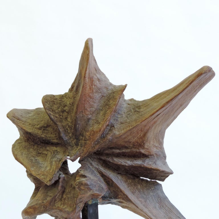 Decorative Root Sculpture, Italy 1960s For Sale at 1stDibs