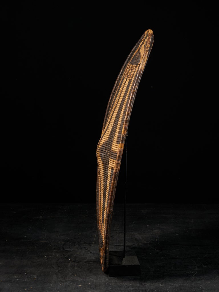 Decorative War Shield from the Azande People in the Democratic Republic ...